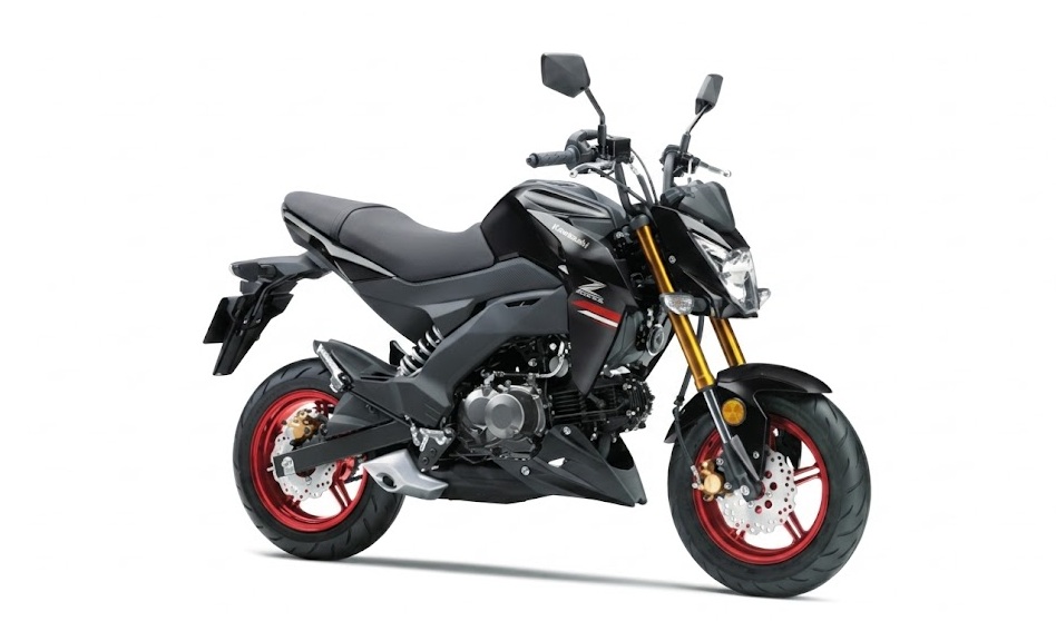 Harga Kawasaki Z125 PRO Terbaru 2026 | Cek Samsat Online